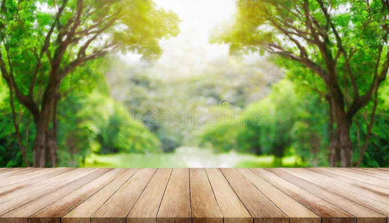 Table in Forest Table and Grass Table Stock Illustration - Illustration ...