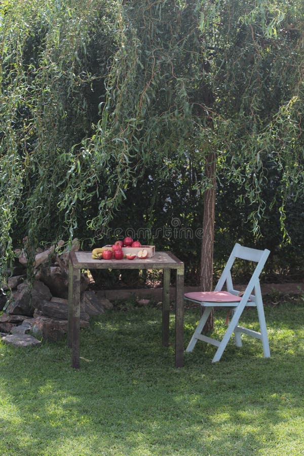 Table with Fruits and a Chair Under the Tree in the Garden Stock Photo ...