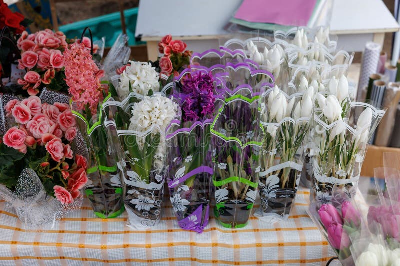 A Table Full of Flowers in Plastic Containers Stock Image - Image of ...