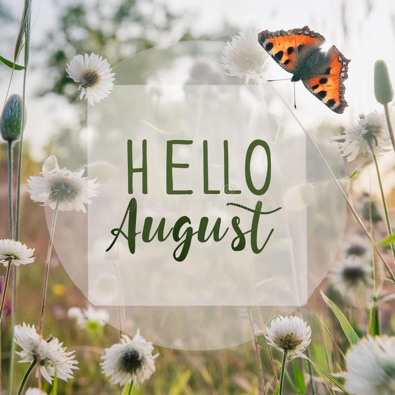 A Table Full of Food with a Sign that Says "Hello August" Above it ...