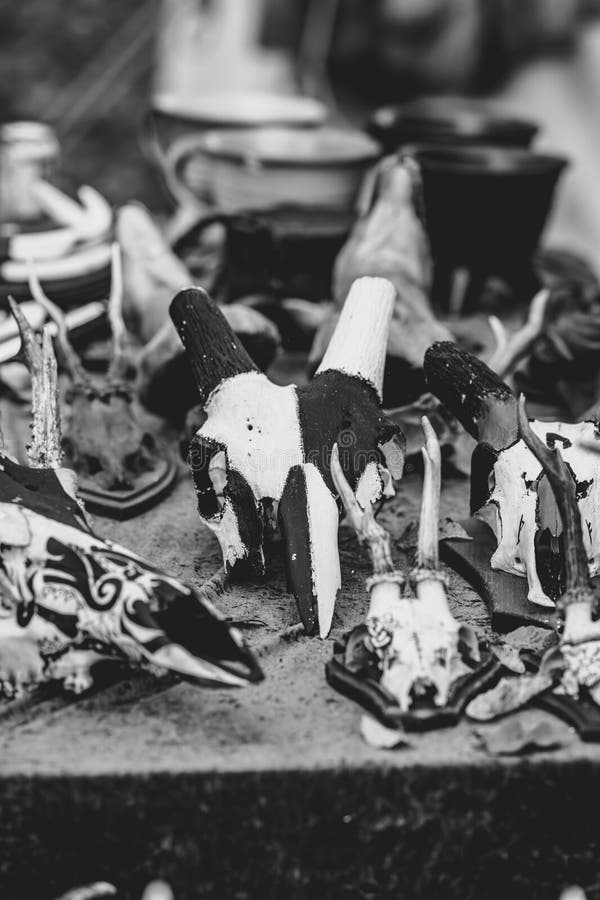 A Table Full of Skulls and Bones, Some of Which are Painted Stock Photo ...