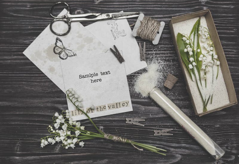 Table with Herbarium Making Tools. Vintage Handcraft Notes. Lily of the ...