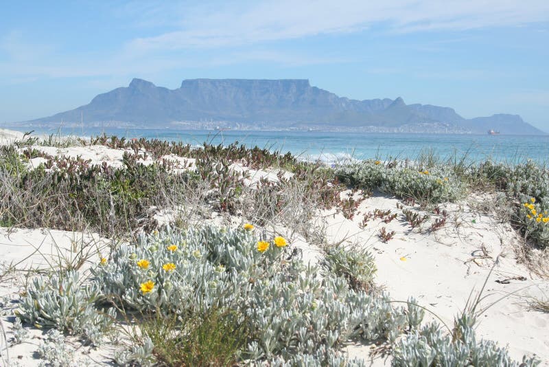Table Mountain stock photo. Image of white, sightseeing - 1743938