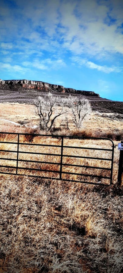 Table Mountain Backroads of Wyoming Stock Photo - Image of tree, rock ...