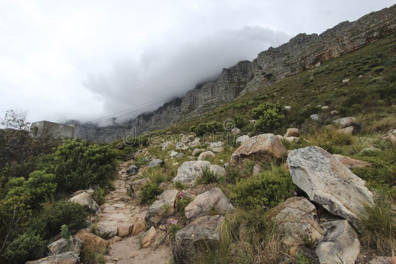 Table Mountain from Beneath, Cape Town, South Africa Stock Photo ...