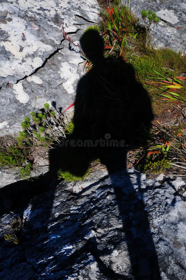 149 Table Landforms Stock Photos - Free & Royalty-Free Stock Photos ...