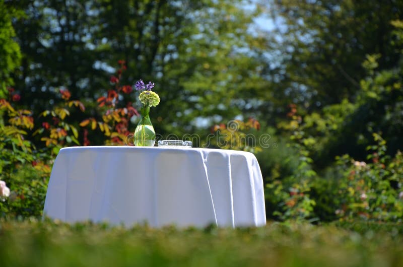 Table in nature stock image. Image of vase, table, plants - 29671069
