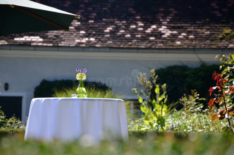 Table in nature stock photo. Image of plants, water, white - 29671082