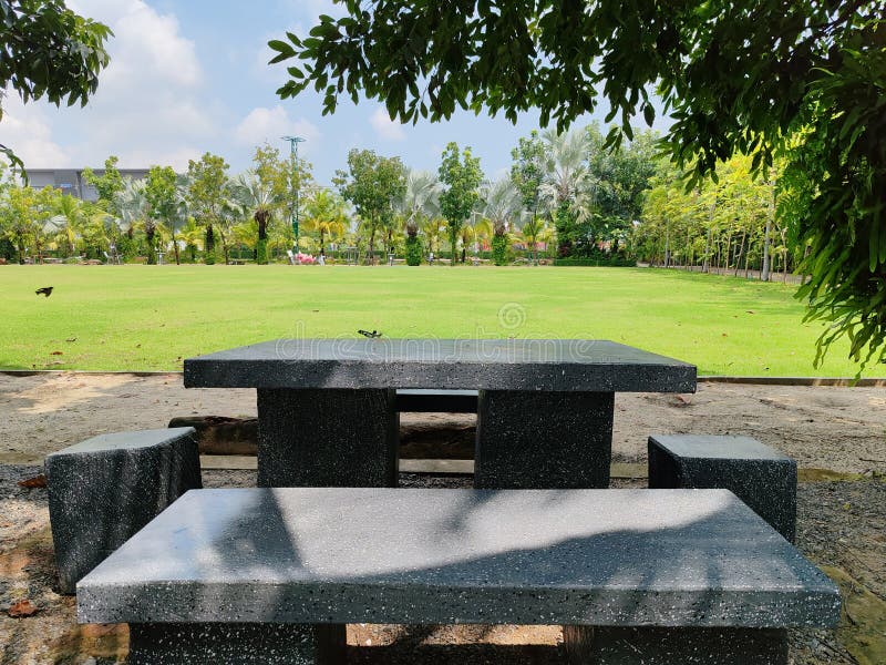 Table in Park with Green Grass and Trees Stock Image - Image of grave ...