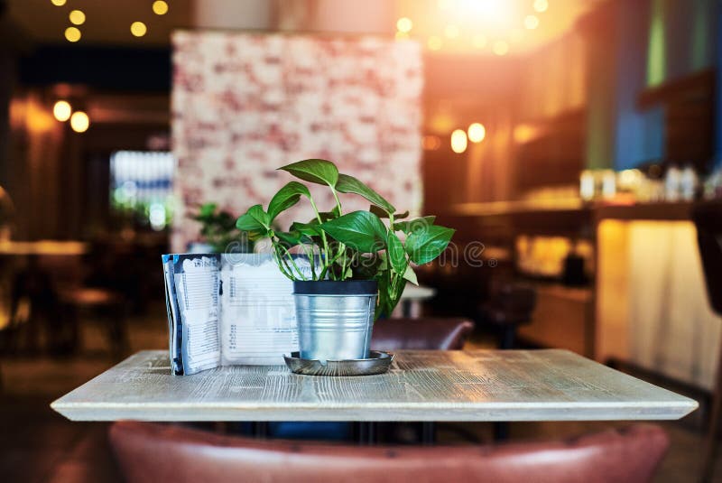 Table, Plant and Menu in Empty Restaurant with Interior Design for ...