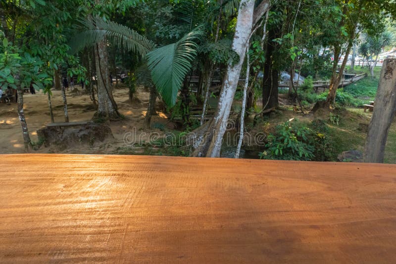 Table Scene and Tree in Background Stock Image - Image of landscape ...