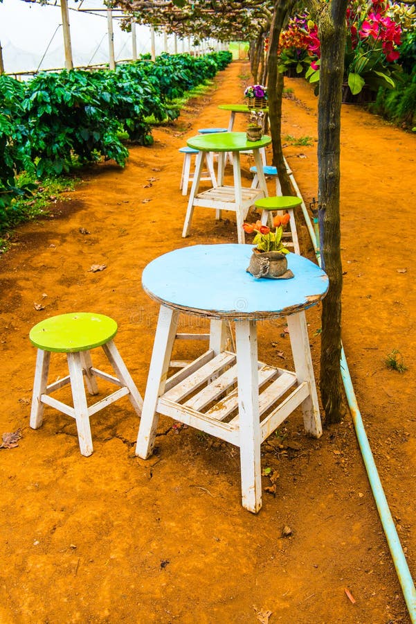 Table Set in the Grape Garden Stock Photo - Image of summer, garden ...