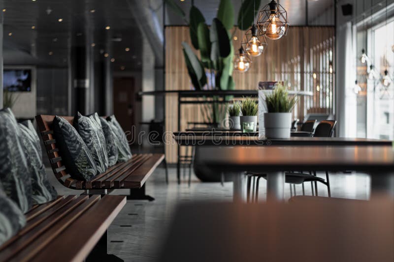 Table is Set Out with Plants on it Stock Photo - Image of living ...