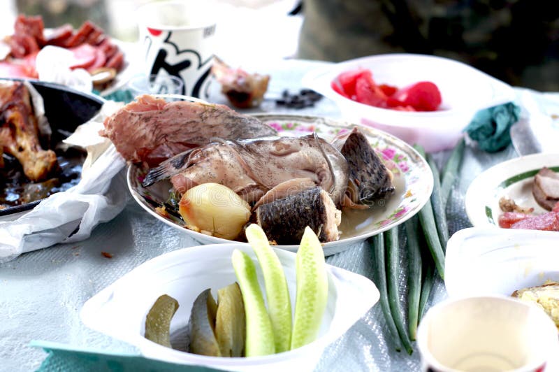 Table Setting in Nature. Boiled Fish on the Table Stock Photo - Image ...