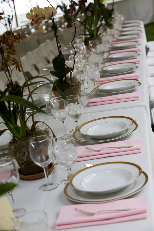 Celebratory table stock photo. Image of dinner, celebratory - 3758252