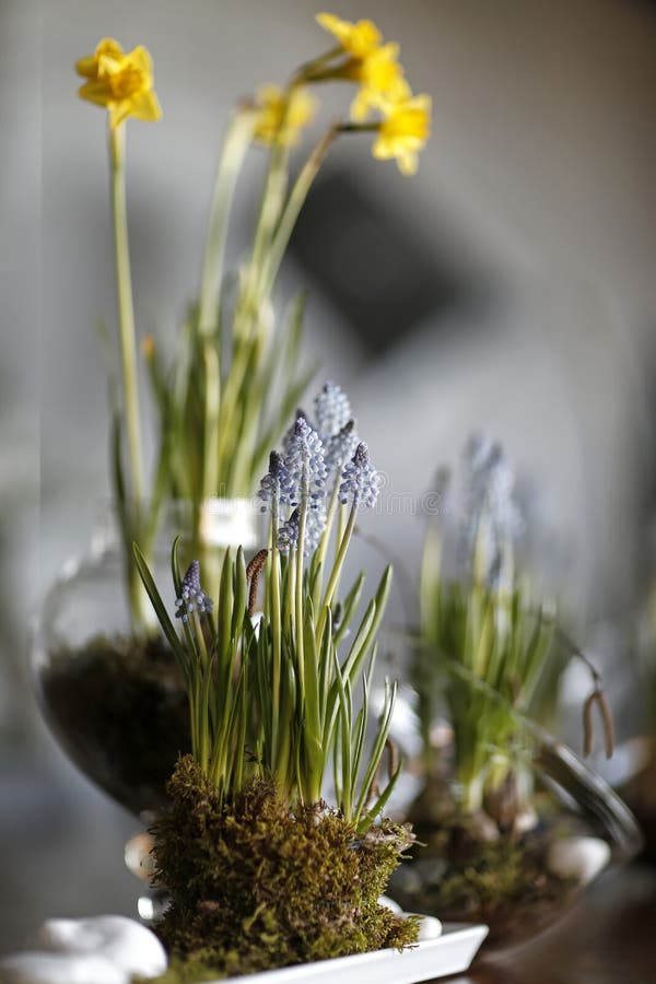 Table with spring flowers stock photo. Image of decoration - 92682586