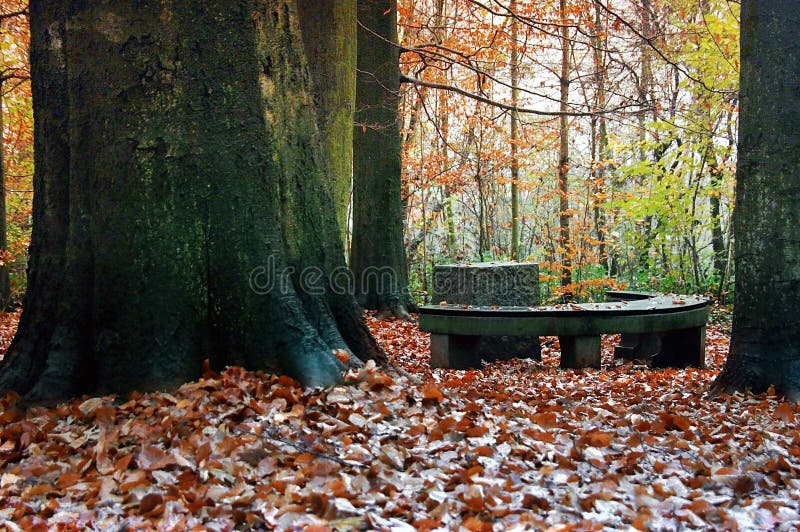 Table of stone stock image. Image of walk, trees, leaf - 13360539