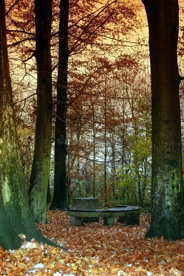 Table of stone stock image. Image of forests, forest - 13360567
