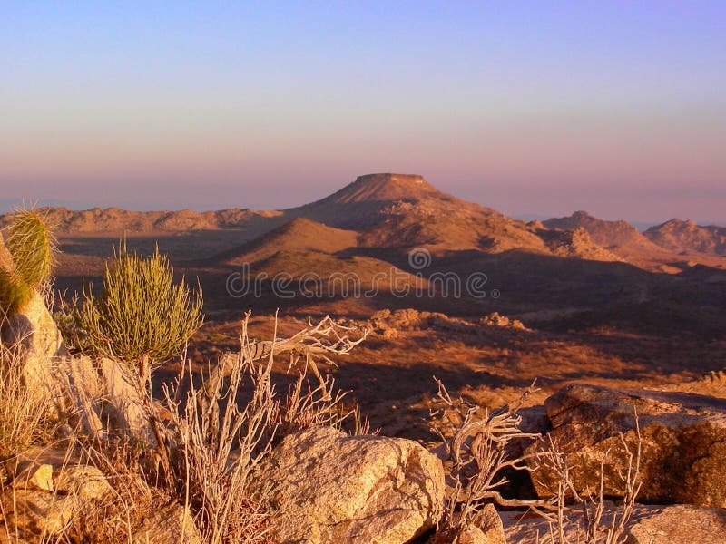 Gold Valley Ranch stock photo. Image of travel, gold - 17768072