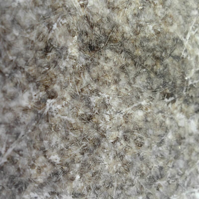 Table Top Taken Using a Microscope Camera Stock Photo - Image of ...