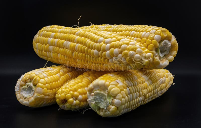 Table Top View of Corn on the Cob, Whit a Black Background, Sitting on ...