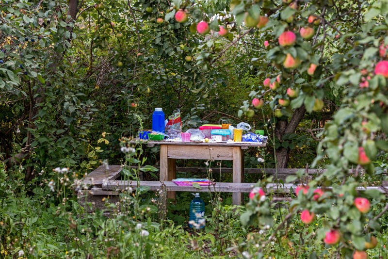 Table among the Trees of the Garden Stock Photo - Image of garden, tree ...