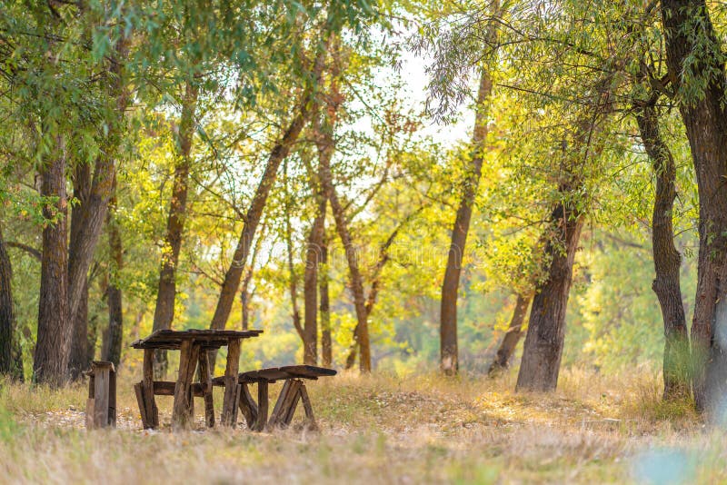 A Table and Two Benches from a Rough Log House. Recreation Area in the ...