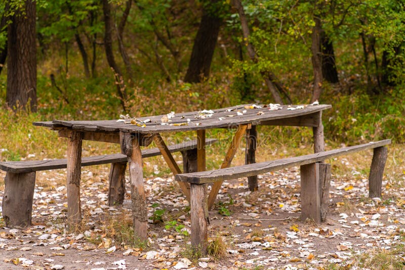 A Table and Two Benches from a Rough Log House. Recreation Area in the ...