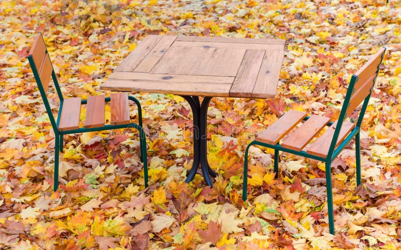 Table and Two Chairs Summer Cafe among the Fallen Leaves Stock Image ...