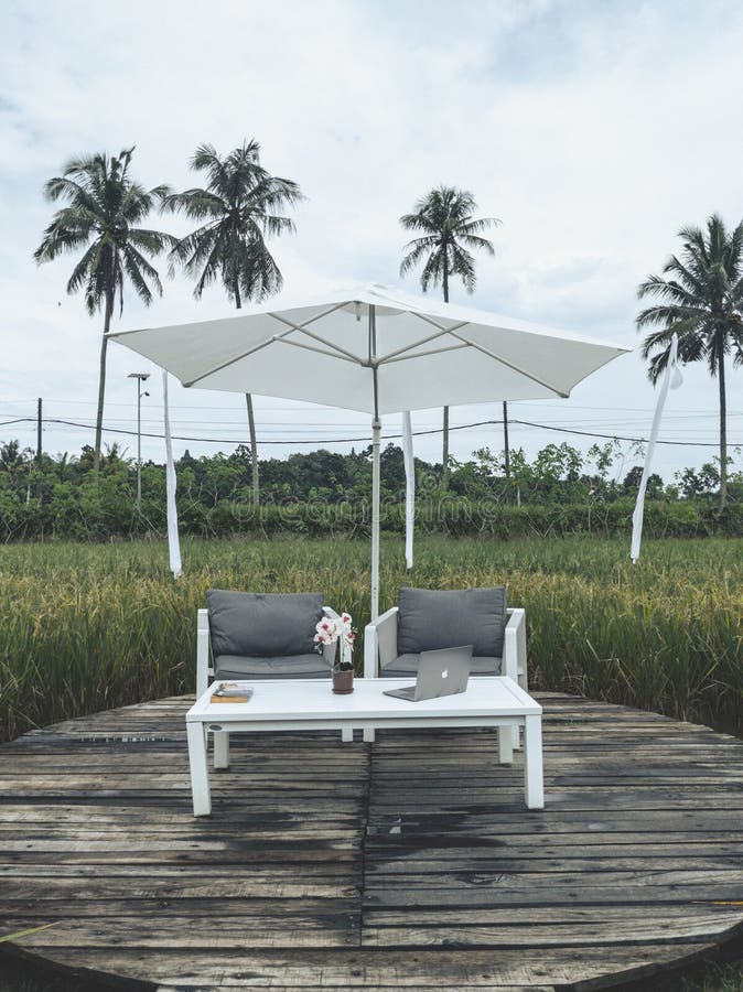 Table for Two in the Middle of Rice Field Editorial Photography - Image ...