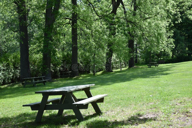 A Table Under the Trees in a Garden Stock Image - Image of grounds ...