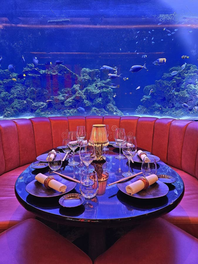 Table in an Underwater Cafe Setting Stock Image - Image of algae ...