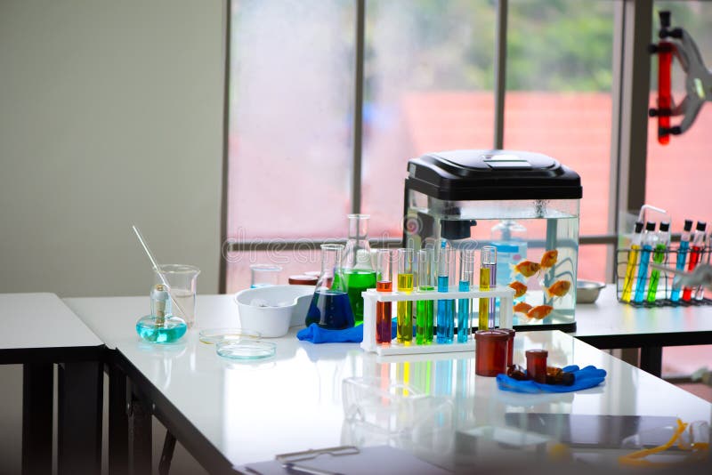 Table Was Adorned with an Array of Glass Tubes, Their Vibrant Hues ...