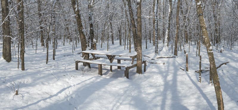Table on Winter Nature in the Forest Stock Photo - Image of chair ...