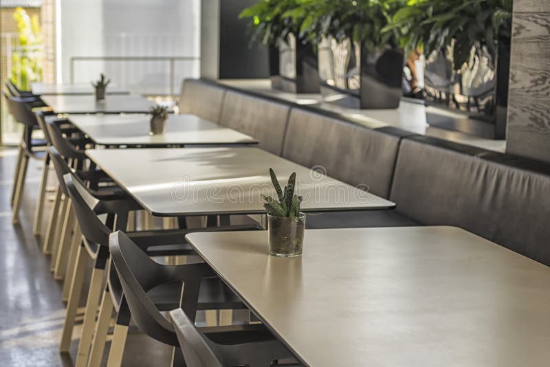Tables and Chairs Inside the Cafe Shop Stock Photo - Image of food ...
