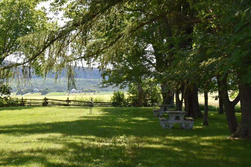 Tables in a park stock image. Image of field, country - 252890089