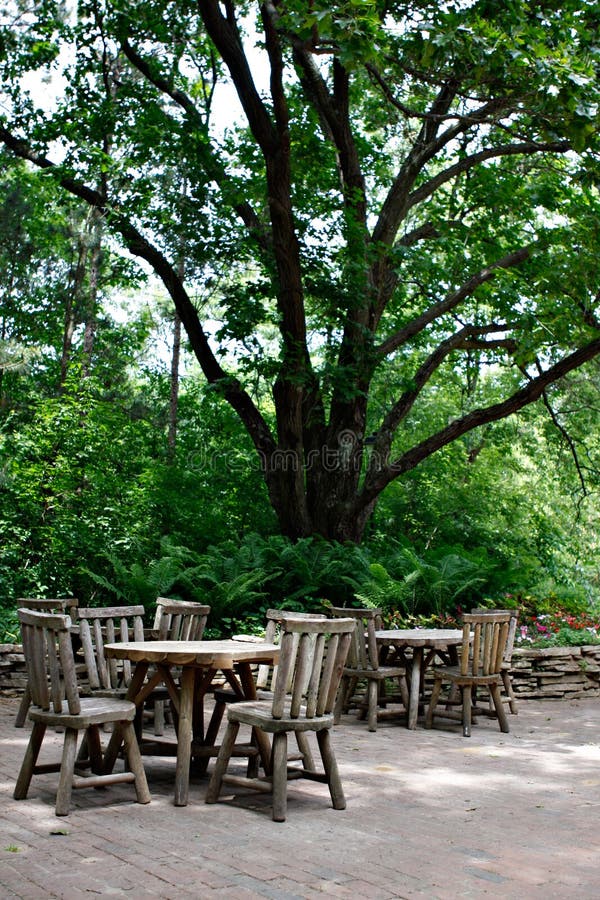 Tables under Big Tree stock photo. Image of tree, garden - 5656012