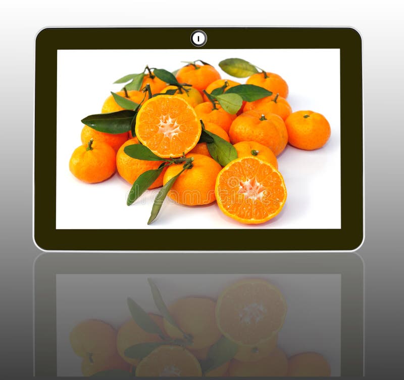 Tablet Computer stock photo. Image of computer, screen - 22553124