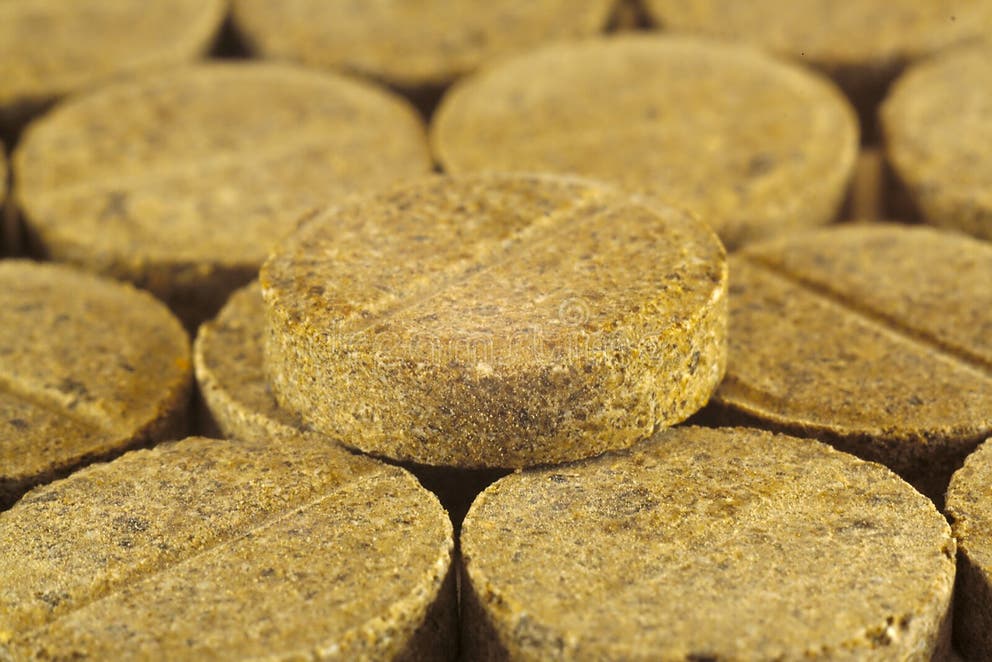 Tablet of Medicinal Plants, Gray, Disc-shaped Stock Photo - Image of ...