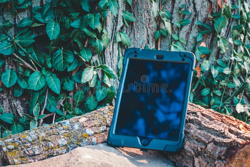 Tablet Sitting Against Some Logs by a Tree Stock Photo - Image of ...