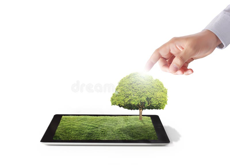 Tablet Computer with Green Grass and Tree Stock Image - Image of ...