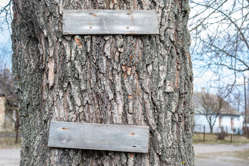 Tablets on Wood for Text. Message on a Tree Trunk Stock Image - Image ...