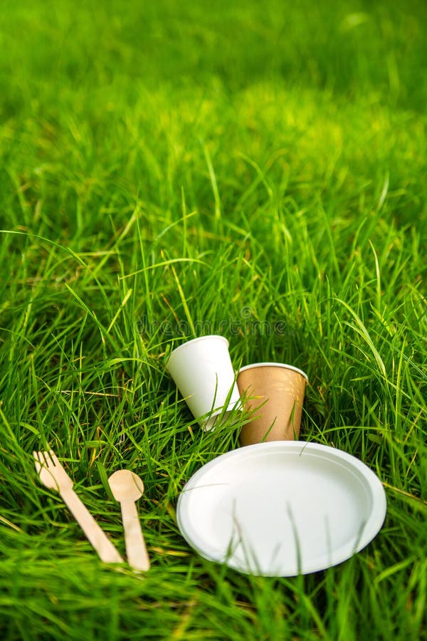 Tableware Eco-friendly Material Green Grass Stock Image - Image of ...