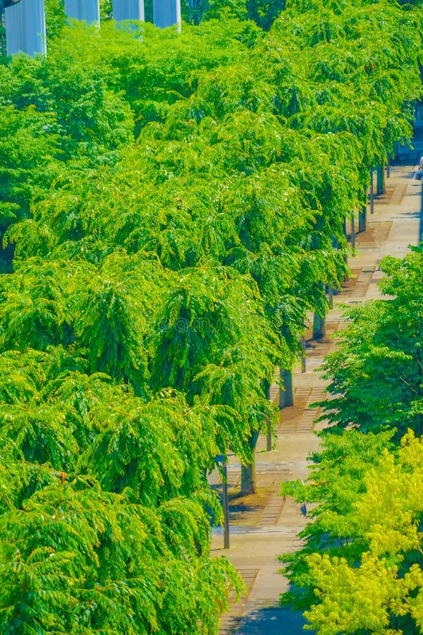 Tachikawa Sunsan Road stock image. Image of heaven, pedes - 286669277