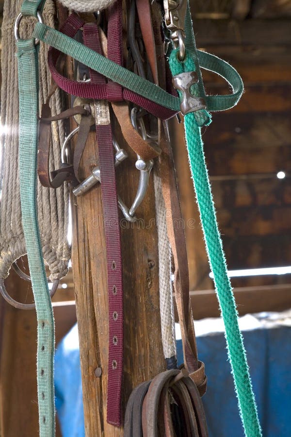 Tack barn stock photo. Image of stirrup, ranch, riding - 1442176