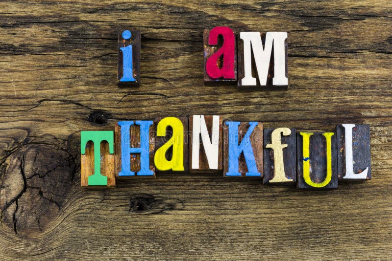 Guld- Tacksamhet Som Mediterar Buddhabanret Fotografering för ...