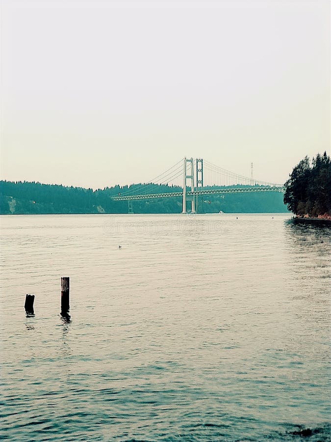 The Tacoma Narrows Bridge in the Distance Stock Image - Image of pier ...