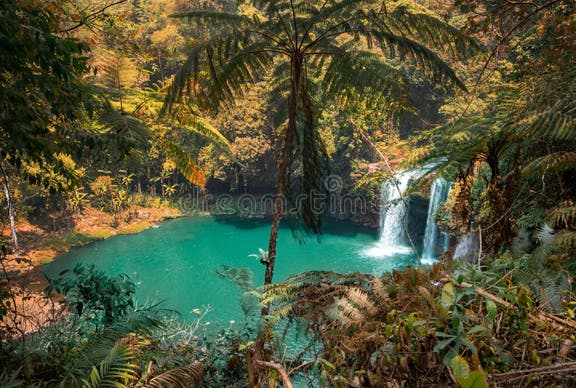 Tad Champee Waterfall. Laos Landscape Stock Photo - Image of stone ...