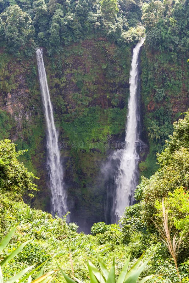 Tad Fan Waterfall in Southern Laos Stock Photo - Image of beauty ...