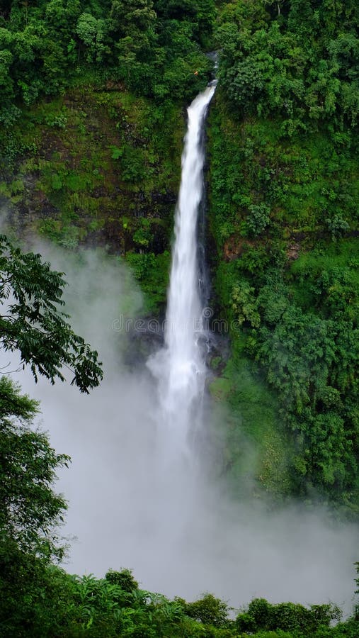 Tad Fan Waterfall stock image. Image of asia, green, laos - 48469457
